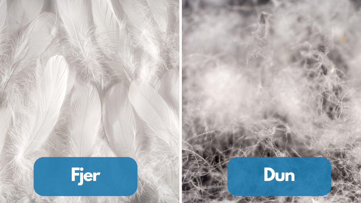 Bæreevne i dyner - hvad betyder det? | Simpelt forklaret